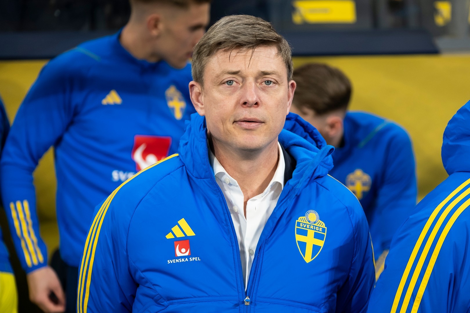 Sveriges landslagssjef Jon Dahl Tomasson får sparken etter VM ...